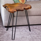 Union Rustic Callaghan Solid Wood Tree Stump End Table & Reviews | Wayfair